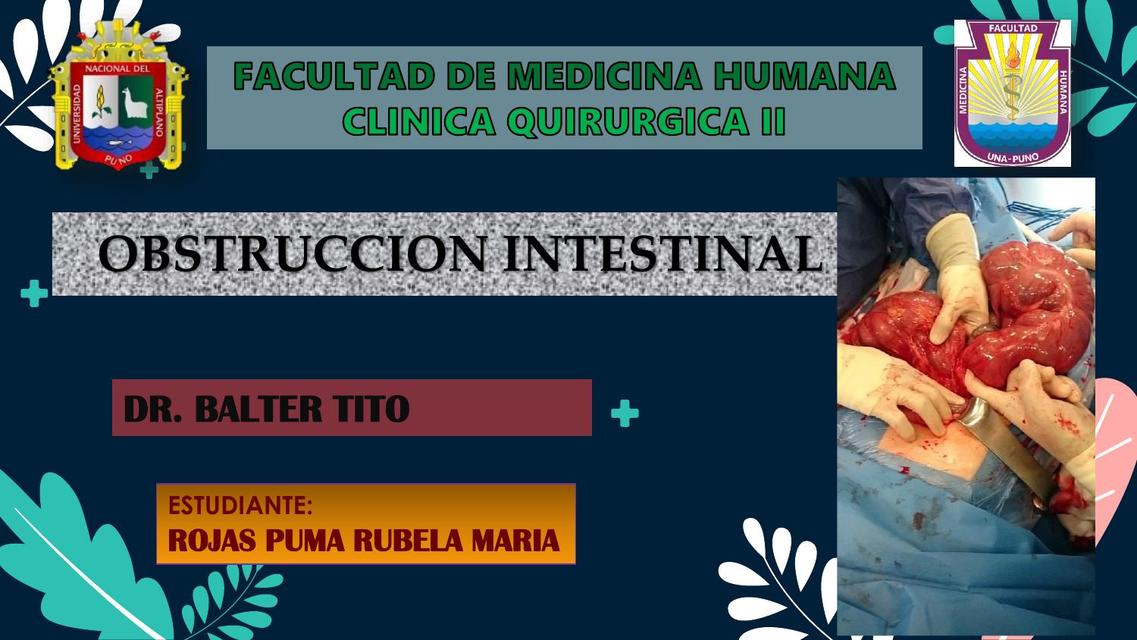Obstrucción intestinal | ROJAS PUMA RUBELA MARIA | uDocz