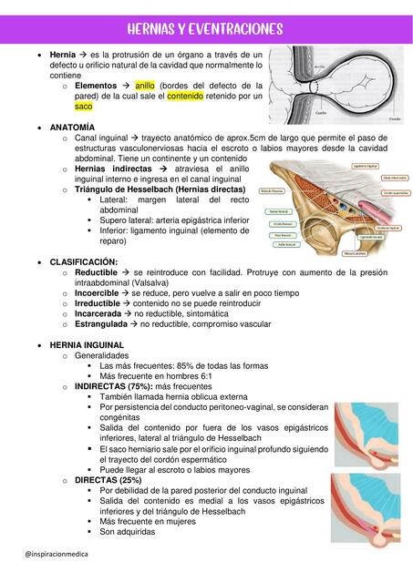 Hernias | Melany Bardales | uDocz
