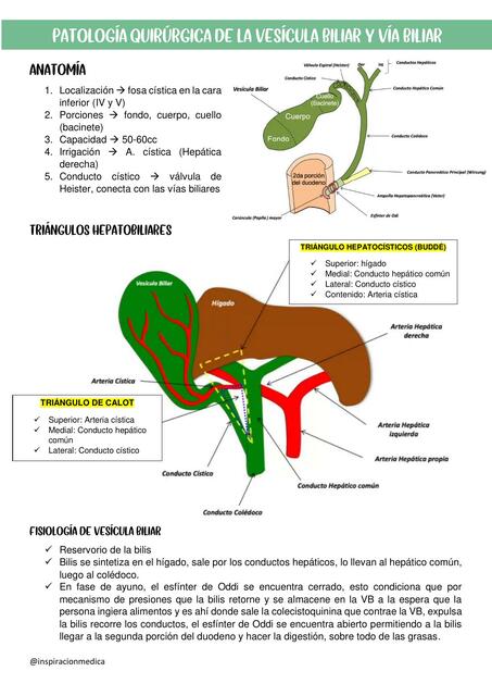 Patología de vías biliar | Melany Bardales | uDocz