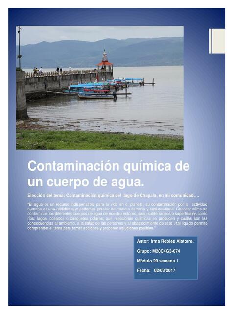 Actividad Integradora Planteamiento del Problema. ¿Cómo se Contamina el ...