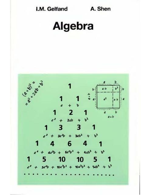 Álgebra | ene larry | uDocz