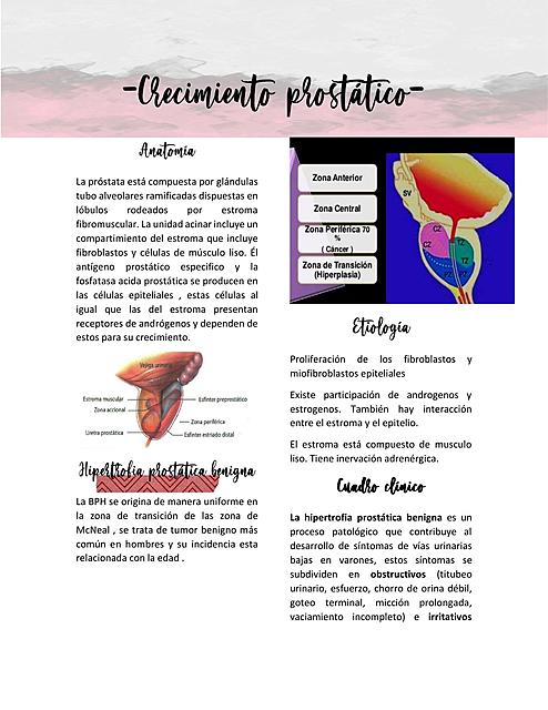 Crecimiento prostático | Monse Fonseca | uDocz