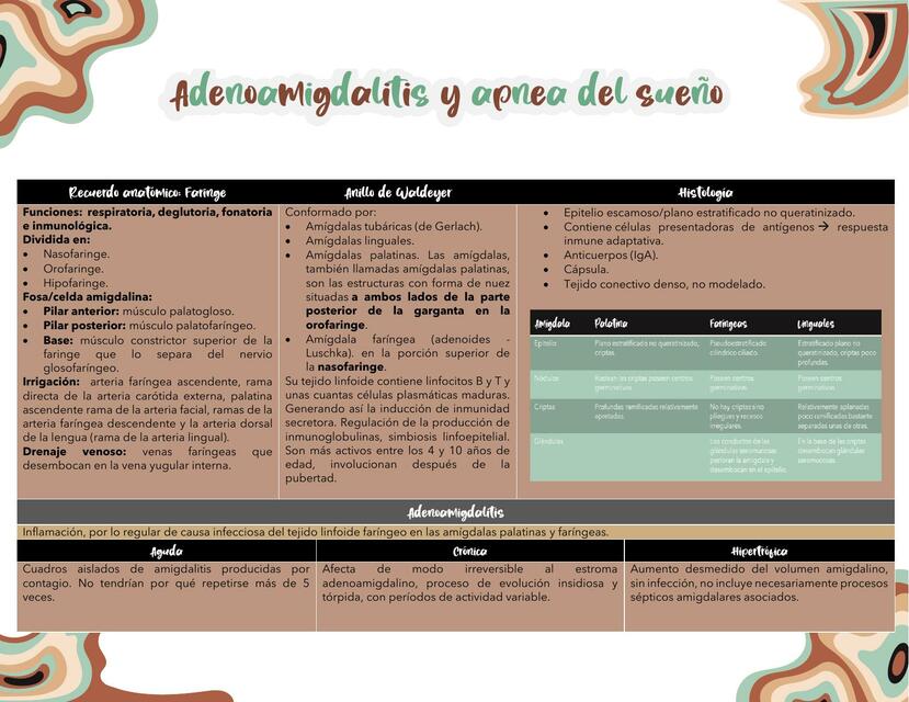 Adenoamigdalitis y Apnea del Sueño | Nelly_notes.med | uDocz