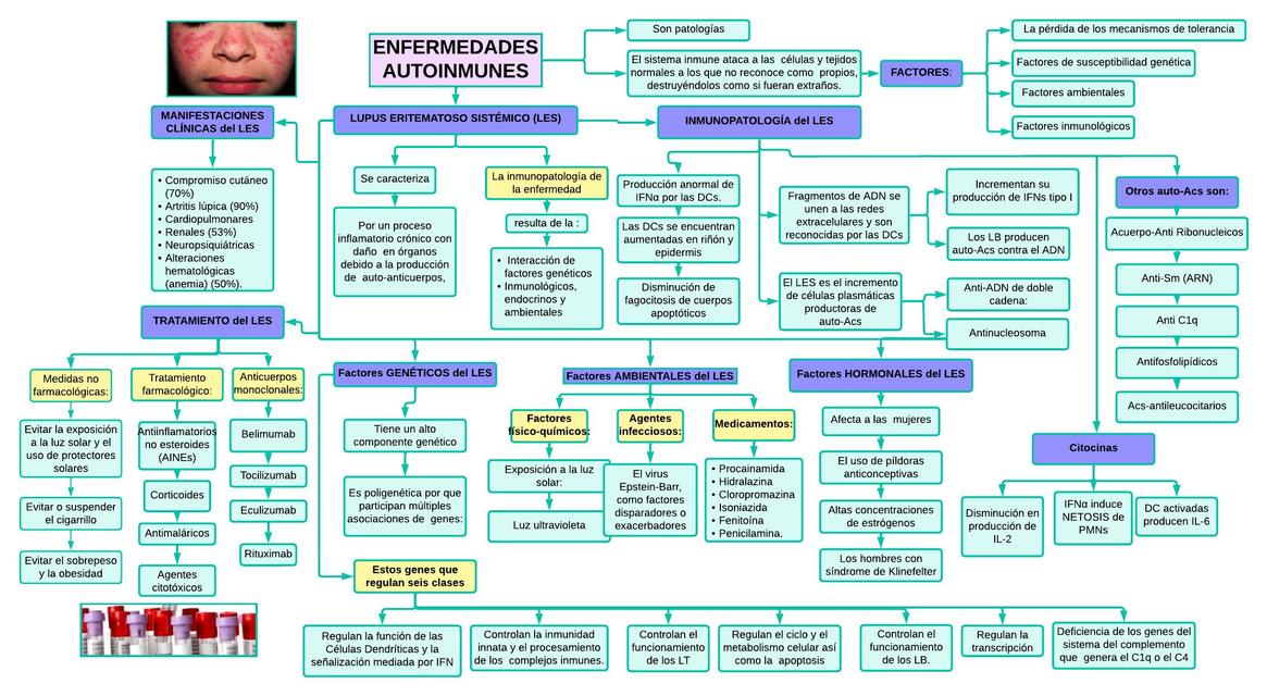 Enfermedades autoinmunes | YENNY KEN CHIROQUE ELIAS | uDocz