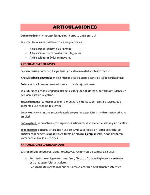 Articulaciones | uDocz