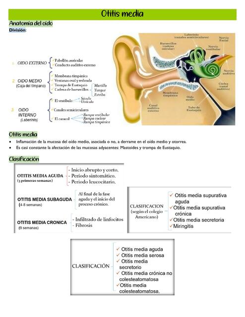 Otitis media y clasificación | Jess | uDocz