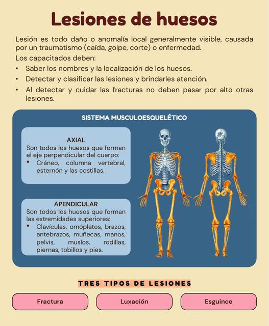 Lesiones De Huesos Javier Rios UDocz Lesiones De Huesos Javier Rios UDocz