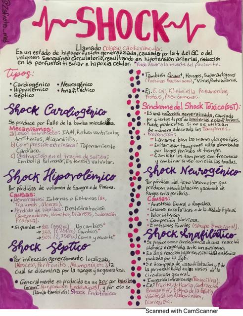 Shock | Yuleisy Roque Garcia | uDocz