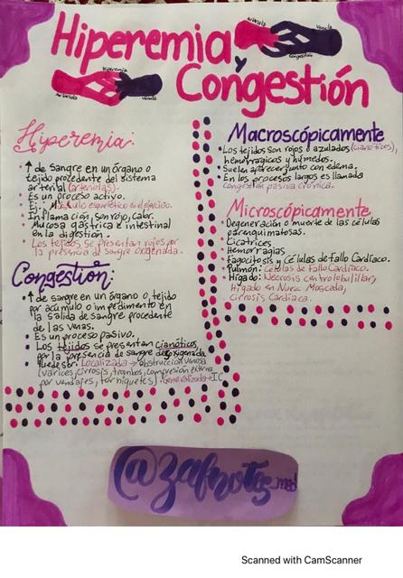 Hiperemia y congestión