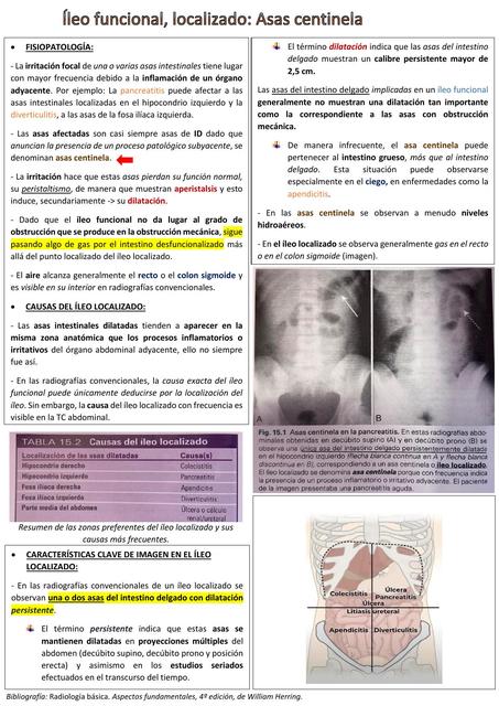 Resúmenes de Íleo | Descarga apuntes de Íleo