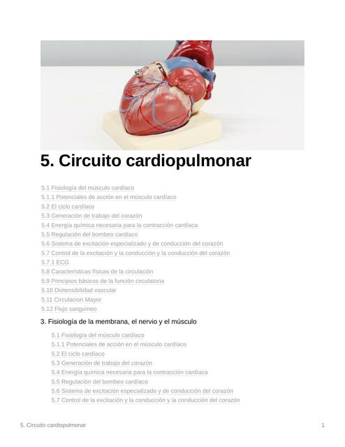 Resúmenes de Cardiopulmonar | Descarga apuntes de Cardiopulmonar