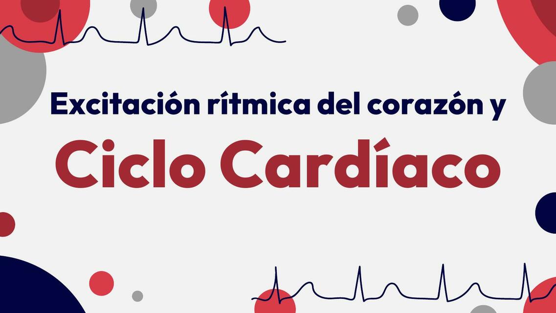 Excitación rítmica del corazón y ciclo cardiaco