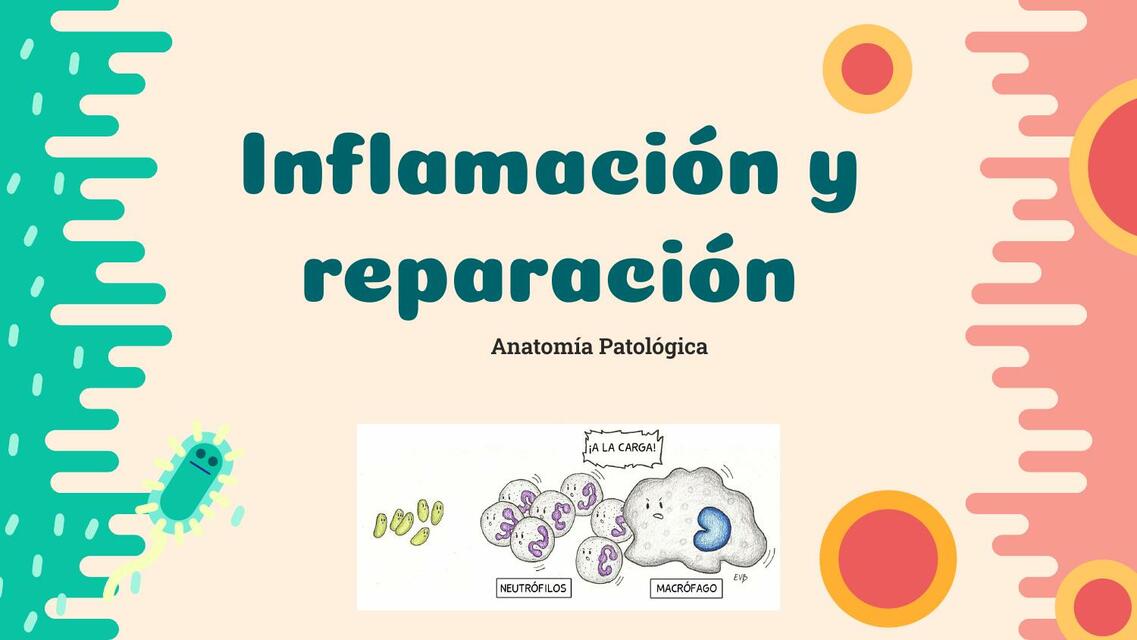 Inflamación generalidades | Mar.Med | uDocz