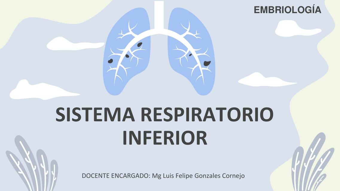 Sistema respiratorio inferior | ARELY VASQUEZ | uDocz