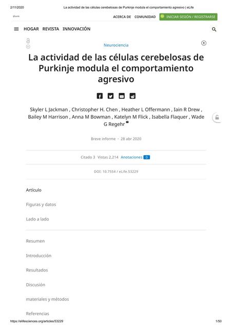 La actividad de las células de Purkinje del cerebelo modula el comportamiento agresivo | Martina ...