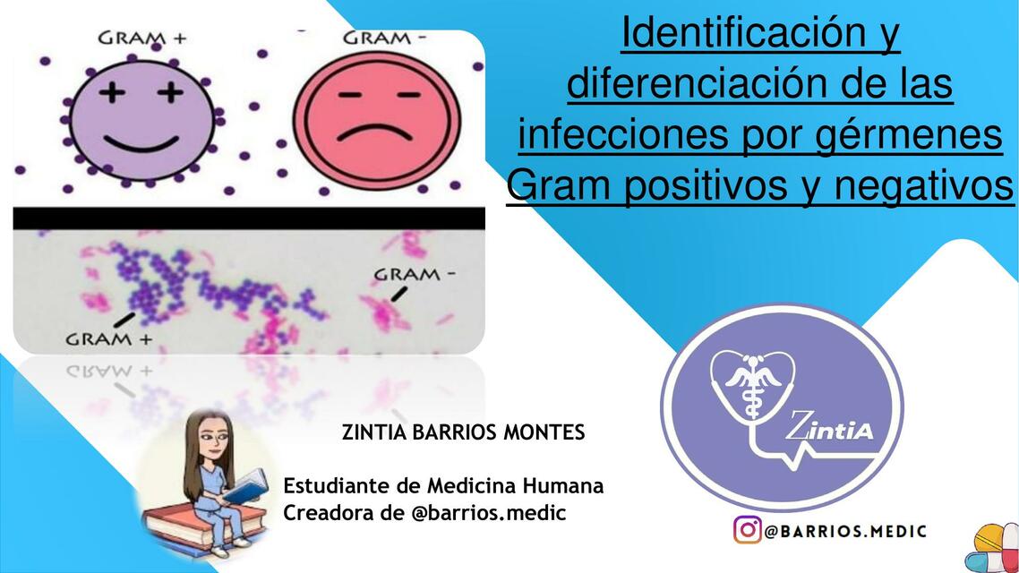 Germenes Gram Positivas y Gram Negativas | BARRIOS MEDIC 👩‍⚕️📚 | uDocz