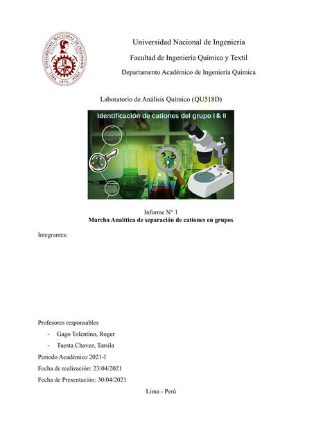 Informes de Ing. Química: Análisis Químico | uDocz