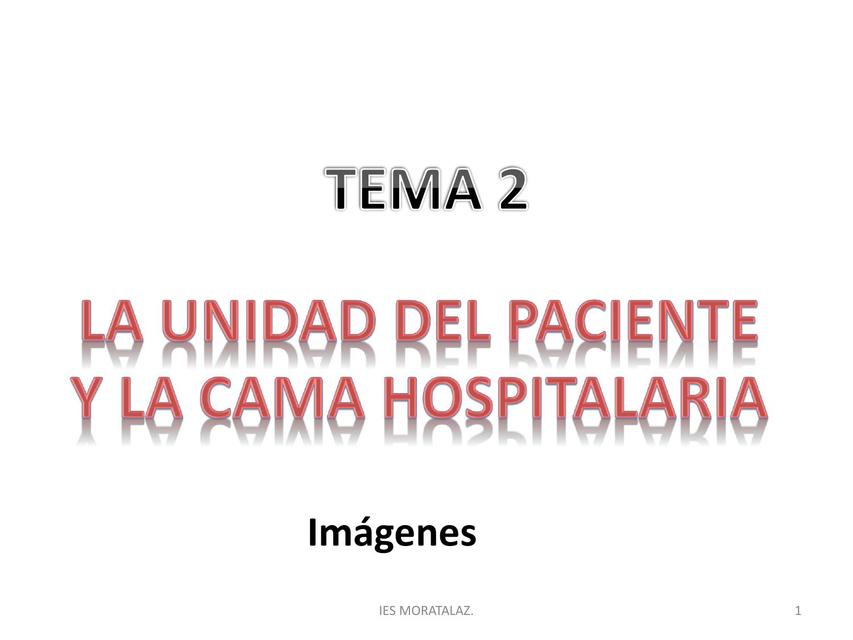 Unidad del paciente y la cama hospitalaria | Lizzeth Ramos | uDocz