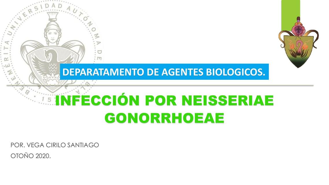 Infección por Neisseriae | Martinez Mackan Ricardo | uDocz