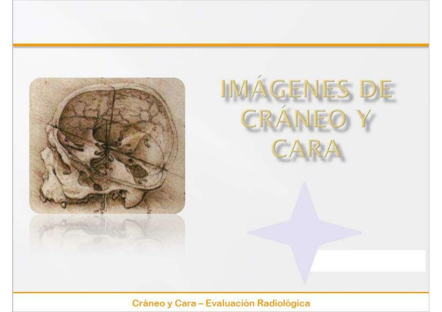 Cabeza cuello normal - Diagnóstico por Imagen | Apuntes y Resúmenes ...