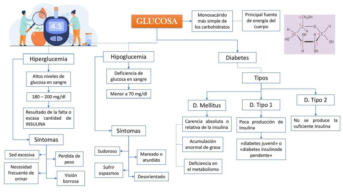 Glucosa | EVELYN GUZMAN | uDocz