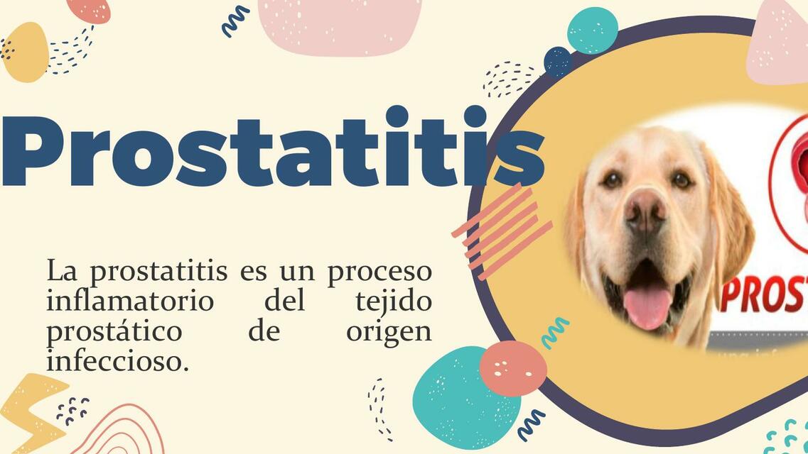 Prostatitis | Maria Belen Vargas | uDocz