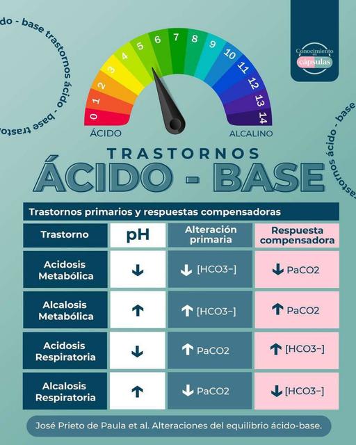 Equilibrio Ácido Base | YUDOC.ORG | uDocz