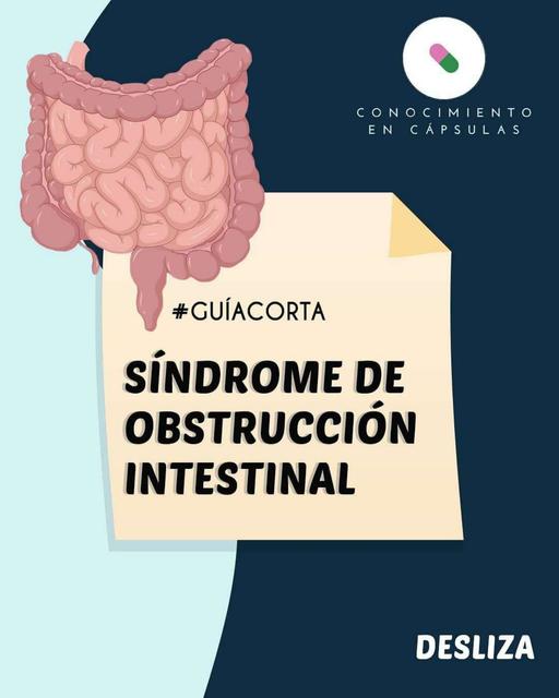 Obstrucción Intestinal | YUDOC.ORG | uDocz