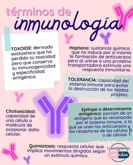 Término de Inmunología | YUDOC.ORG | uDocz
