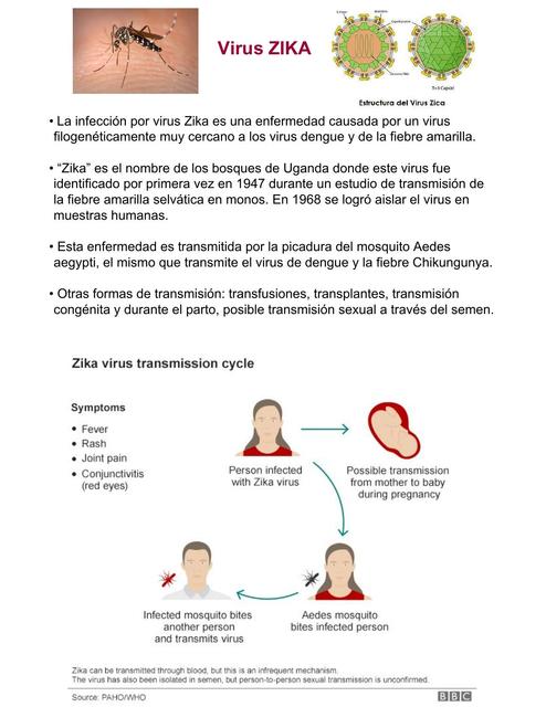 Virus ZIKA Microbiología y Parasitología | Marce Villalba | uDocz