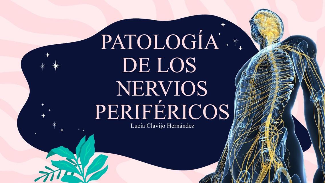 Patología de Los Nervios Periféricos | YUDOC.ORG | uDocz