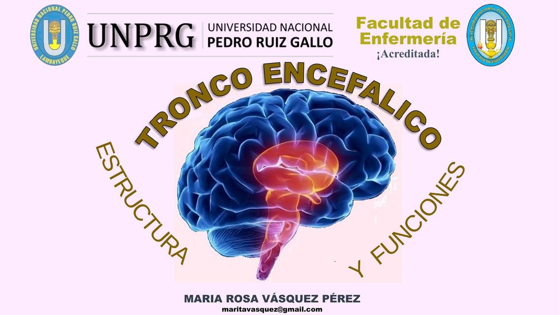 Tronco Encefálico | YUDOC.ORG | uDocz