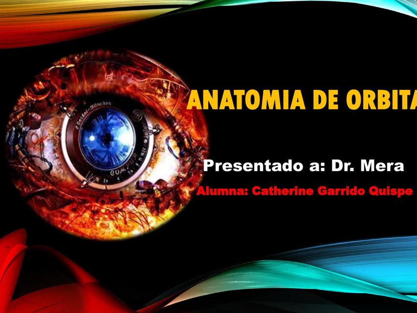 Anatomia de Orbita | YUDOC.ORG | uDocz