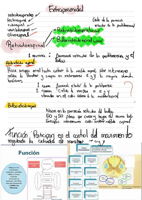 Extrapiramidal | diego alvarez | uDocz