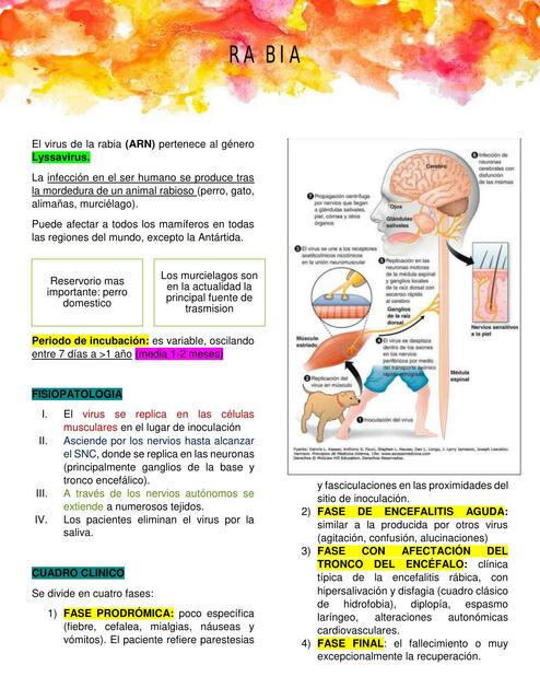 Rabia | Karen Jimenez | uDocz