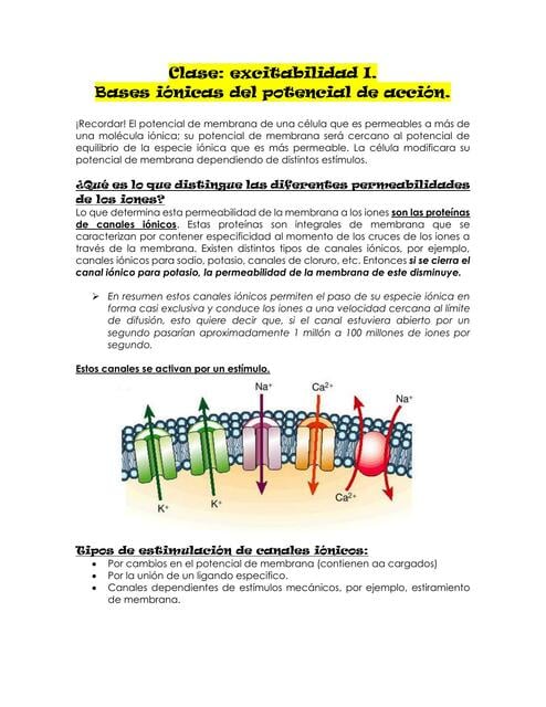 Excitabilidad- Bases Iónicas del Potencial de Acción