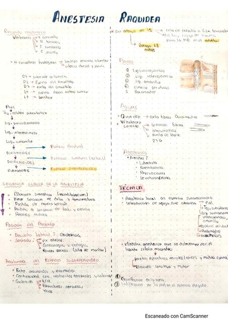 Anestesia Raquídea | Damaris Quispe Paredes | uDocz