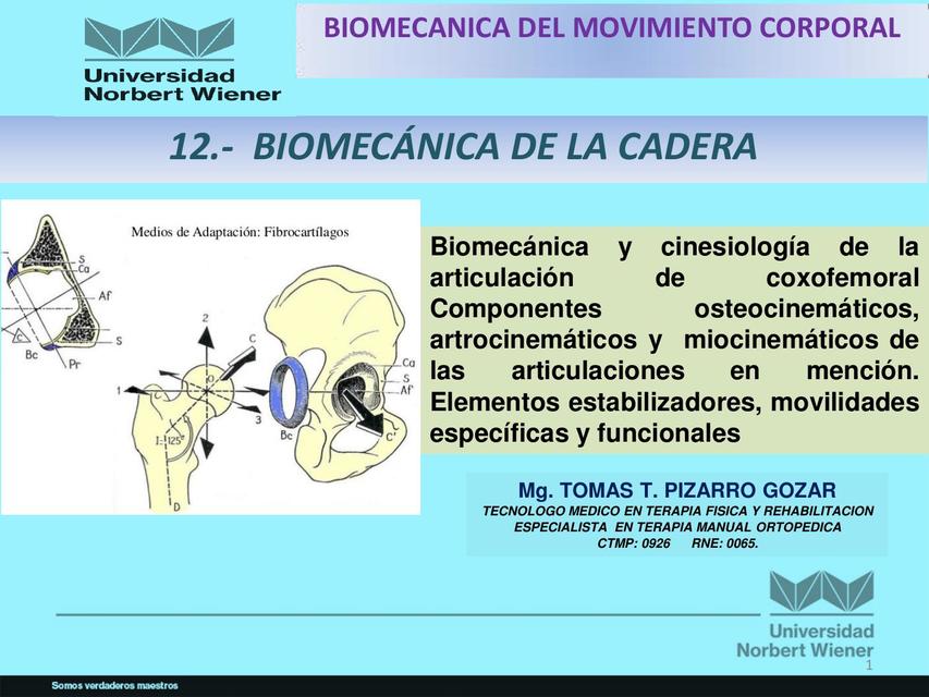 Biomecanica Cadera | YUDOC.ORG | uDocz