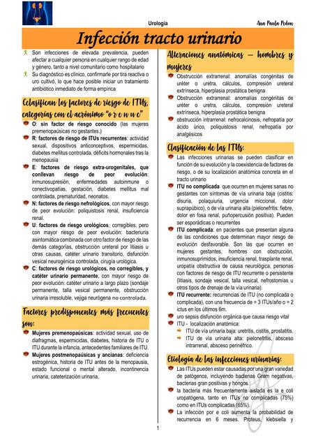 Infección Tracto Urinario | Dra. Ana Pedon | uDocz