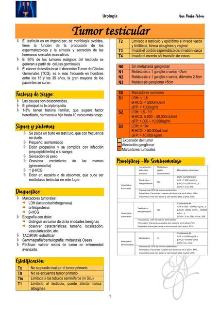 Tumor Testicular | Dra. Ana Pedon | uDocz