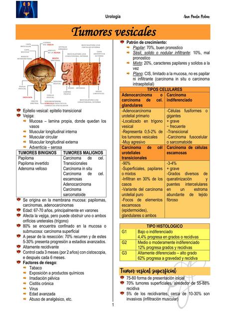 Tumores Vesicales | Dra. Ana Pedon | uDocz
