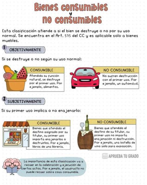 Bienes Consumibles y no Consumibles | YUDOC.ORG | uDocz