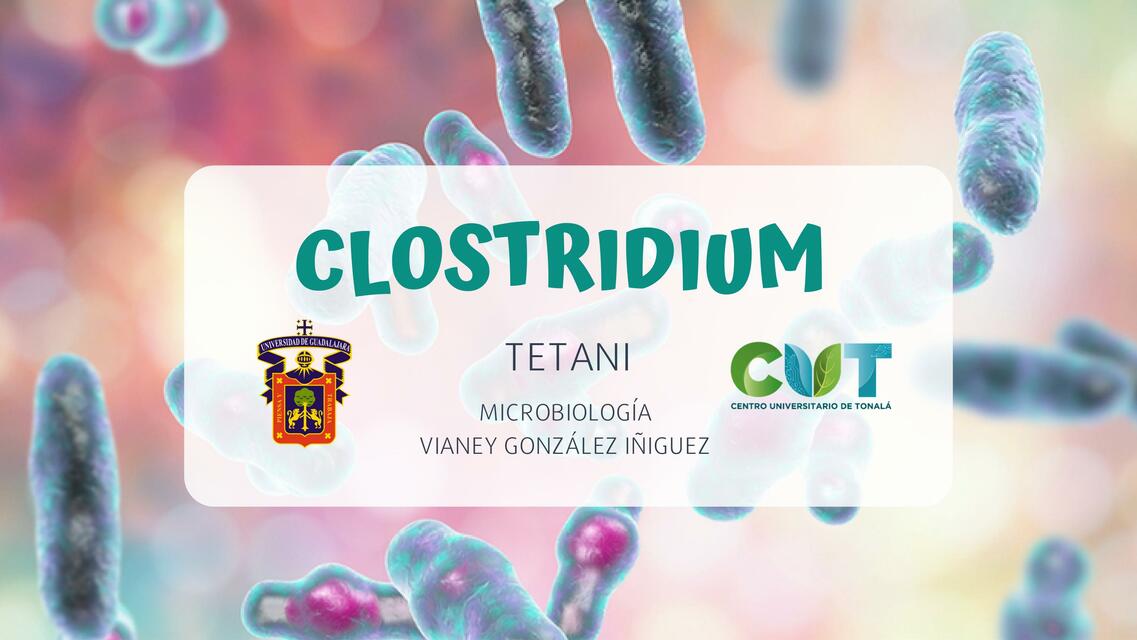 Clostridium Tetani | Vianey González | uDocz