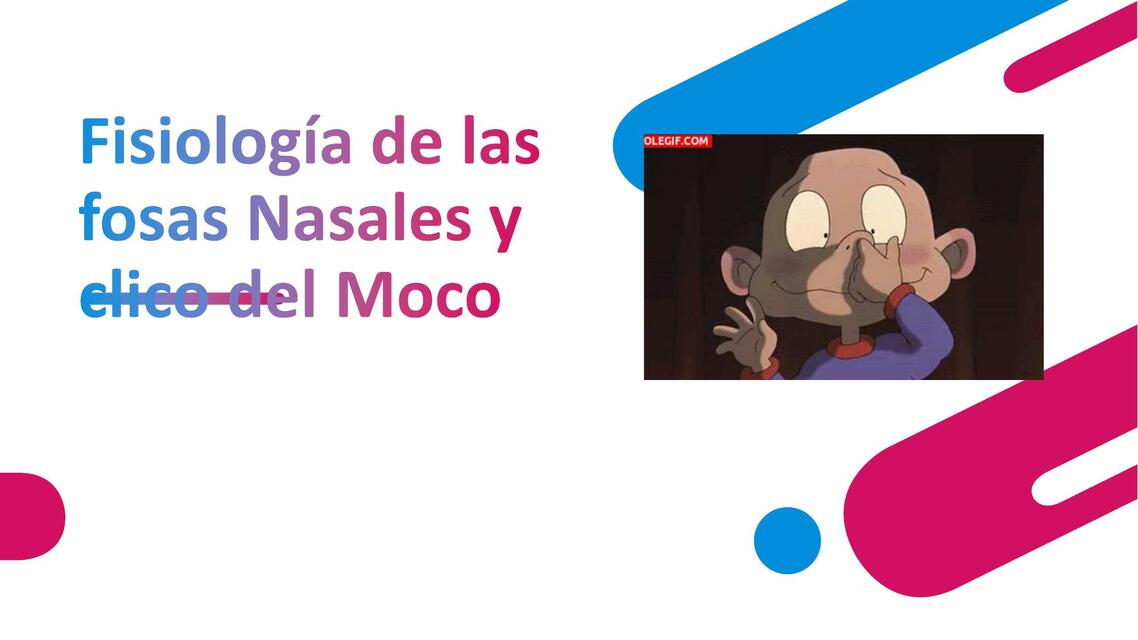 Ciclo del moco UCN II S | Franco Perez. | uDocz