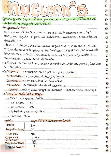 Cap 14 Guyton y Hall ed 13 | futuramedica encolores | uDocz