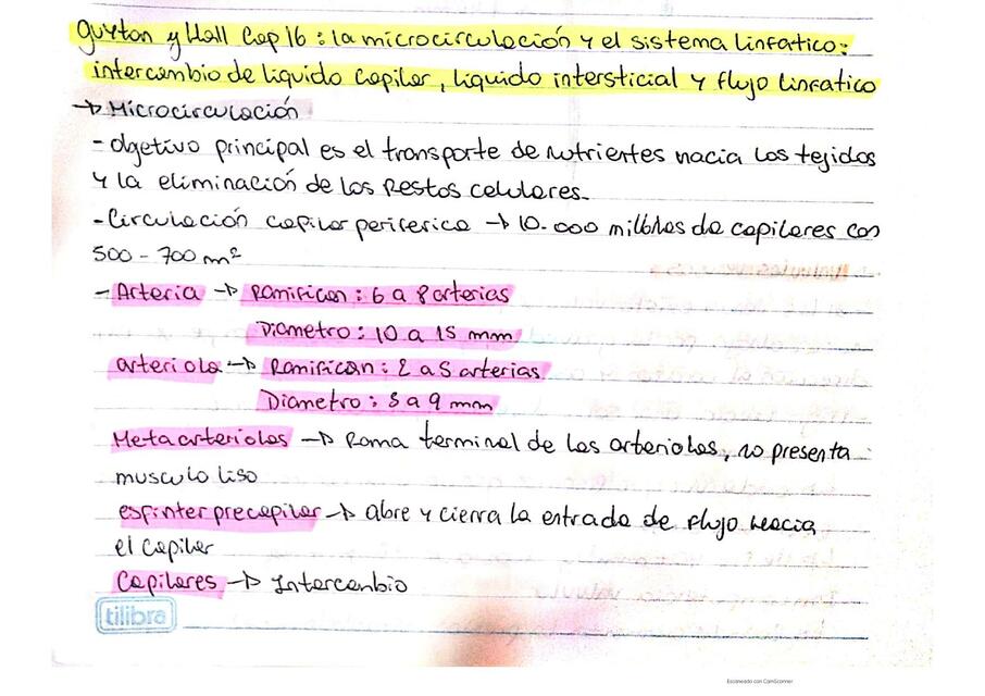 Cap 16 Guyton y Hall ed 13 | futuramedica encolores | uDocz