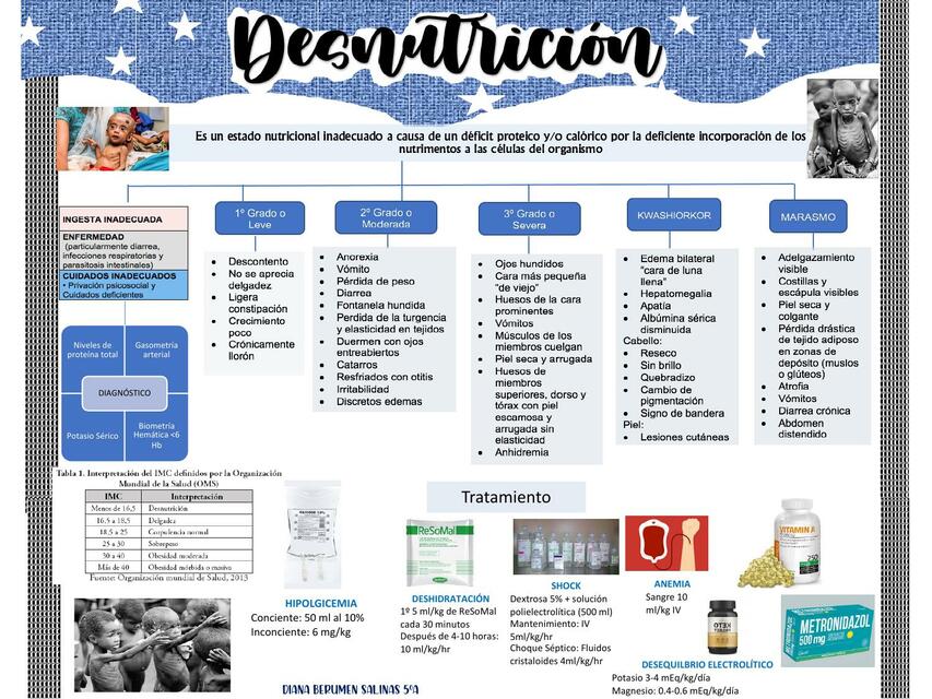 Desnutrición Diana Berumen Udocz