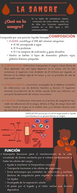 Infografía - La sangre 1 | isis *-* | uDocz