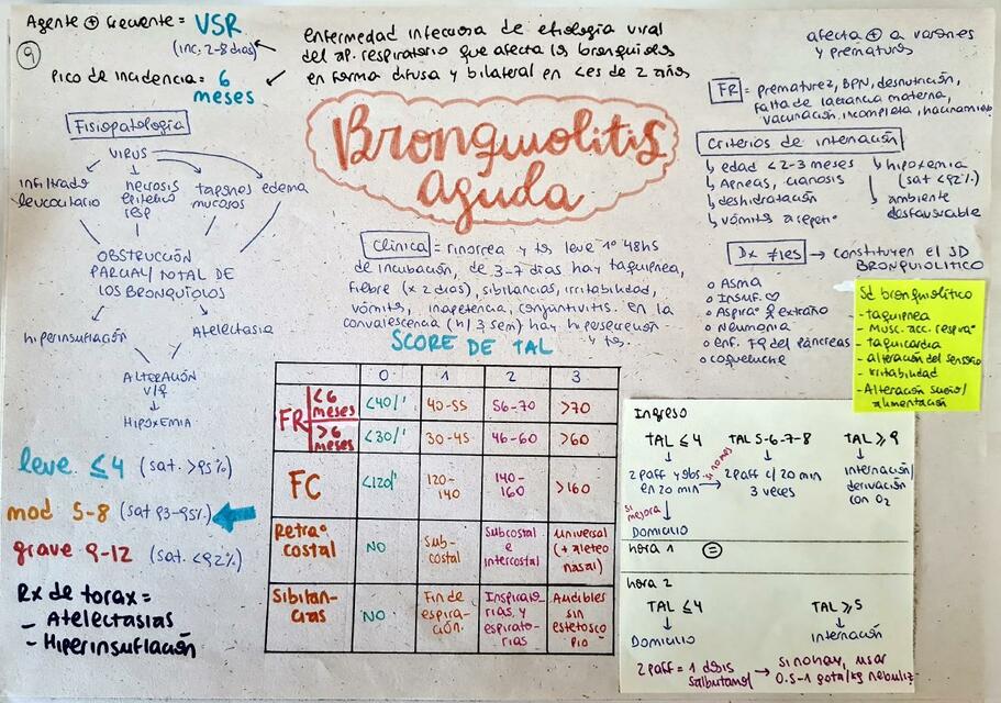 Esquema de Bronquiolitis aguda | Valen Dogovich | uDocz