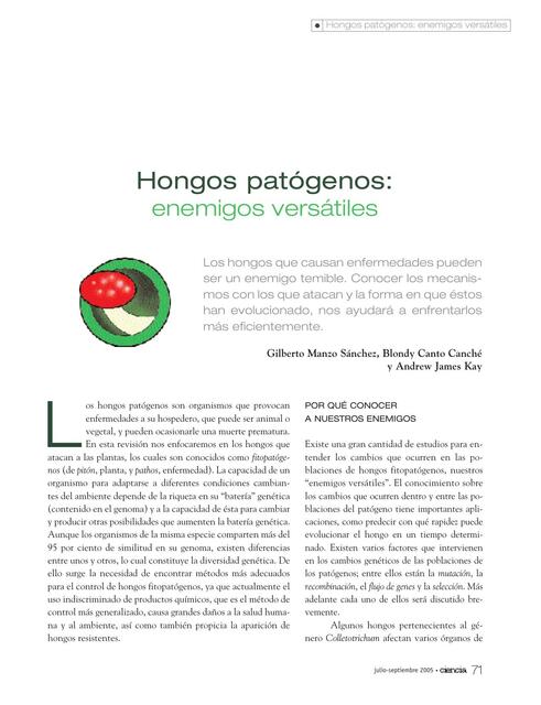 Hongos patógenos: enemigos versátiles | CHEYENIS MONTES | uDocz